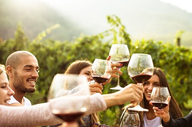 Private Luxury Hunter Valley Tour - up to 6 guests - The Sum Up