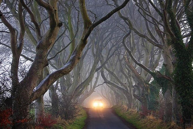 Private Luxury Mercedes Rope Bridge Giants Causeway Coastal Tour - Who Will Love This Experience?