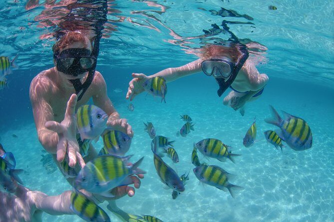 Private Luxury Sailing Cruise in Los Cabos with Lunch and Open Bar - Key Points