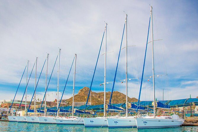 Private Luxury Sailing Cruise in Los Cabos with Lunch and Open Bar - FAQ