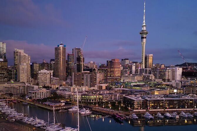 Private Luxury Sedan Transfer Auckland Airport To Auckland Hotel - The Sum Up