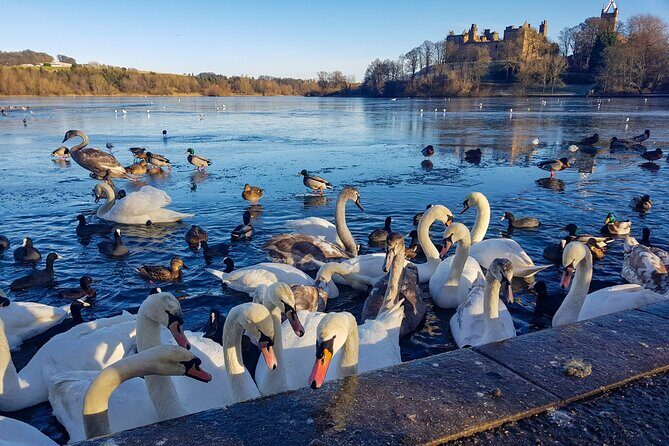 Private Luxury Tour of Loch Lomond, Glencoe & The Highlands - FAQs