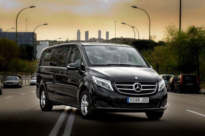 Private Luxury Van Departure from Copenhagen to Copenhagen Port - Key Points