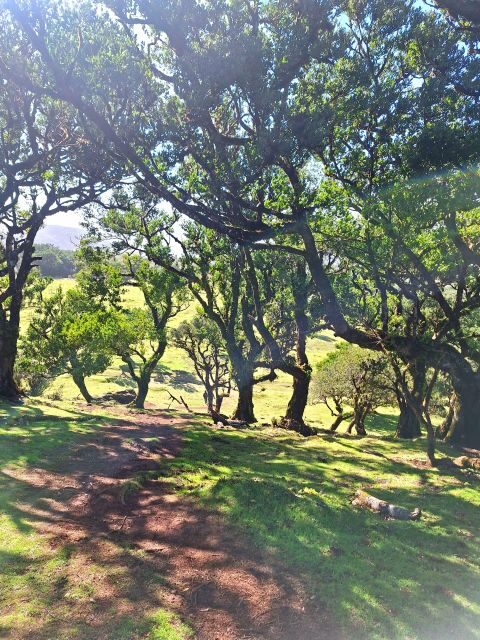 Private Madeira Highlights Full Day Tour - FAQ