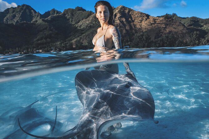 Private Marine Wildlife Adventure with Underwater Photography - Exploring the Private Marine Wildlife Adventure with Underwater Photography in Moorea