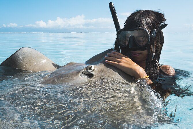 Private Marine Wildlife Adventure with Underwater Photography - The Value & Cost Analysis