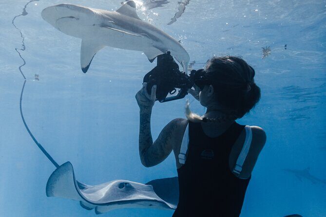 Private Marine Wildlife Adventure with Underwater Photography - Practical Tips for Booking