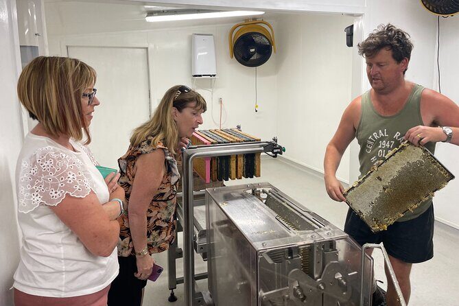 Private Martinborough Foodie Delights Tour from Wellington - Authentic Insights from Past Travelers