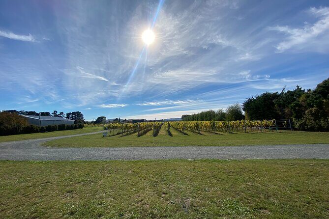 Private Martinborough Wine Tour for Wine Enthusiasts - Frequently Asked Questions
