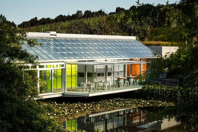 Private Matakana Personalised Tour - Key Points