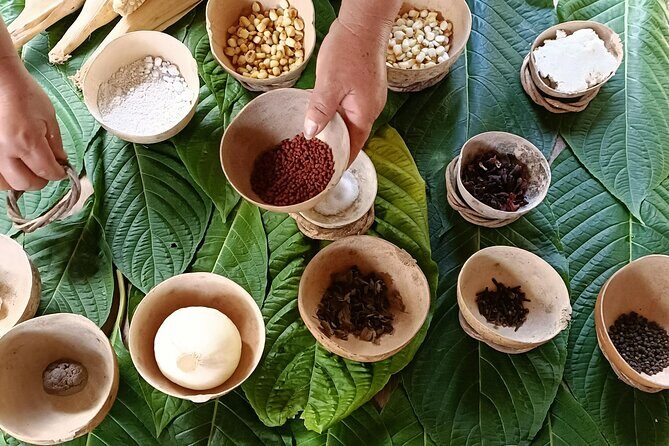 Private Mayan Food Cooking Class, Cenote and Coba Ruins - Is It Worth the Price?