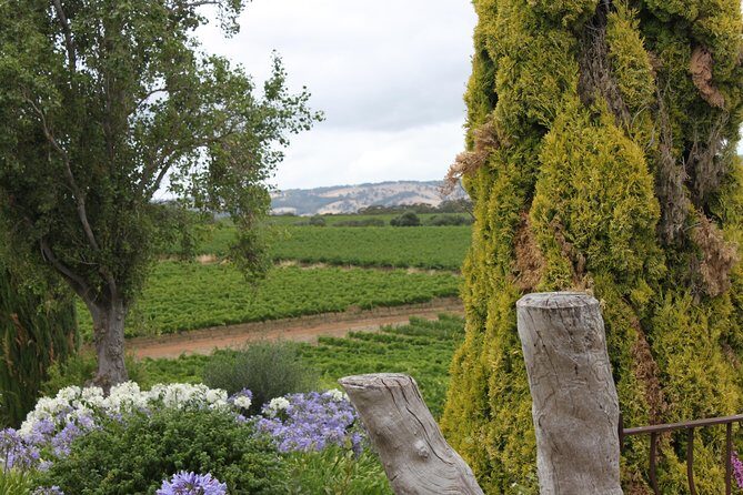 Private McLaren Vale Wine Region Tour from Adelaide - Frequently Asked Questions