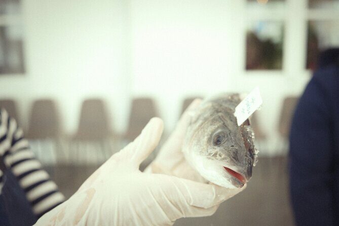 Private Mediterranean Fish Cooking Workshop with Irena - What’s Included and What’s Not