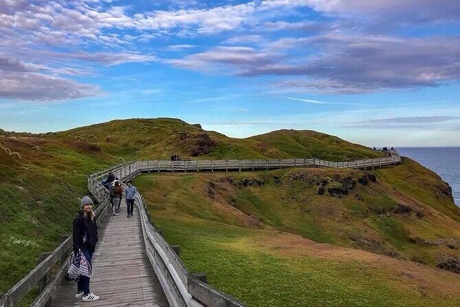 Private Melbourne Tour: Phillip Island and Chocolate Factory - Key Points