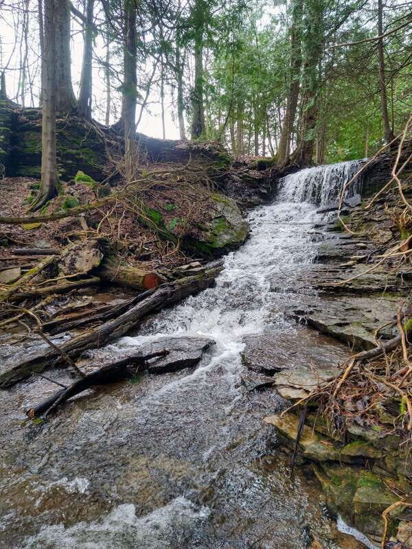 Private Metcalfe/Duncan Caves Hike-Collingwood/Blue Mountain - Final Thoughts