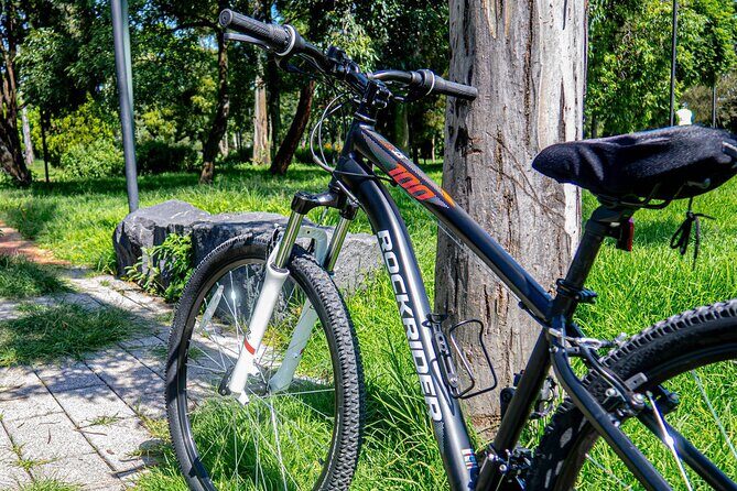 Private Mexico City Biking Tour - Exploring the Itinerary in Detail