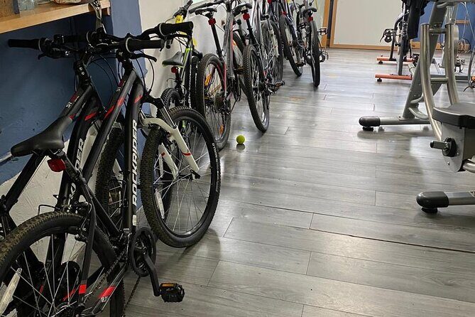 Private Mexico City Biking Tour - FAQ