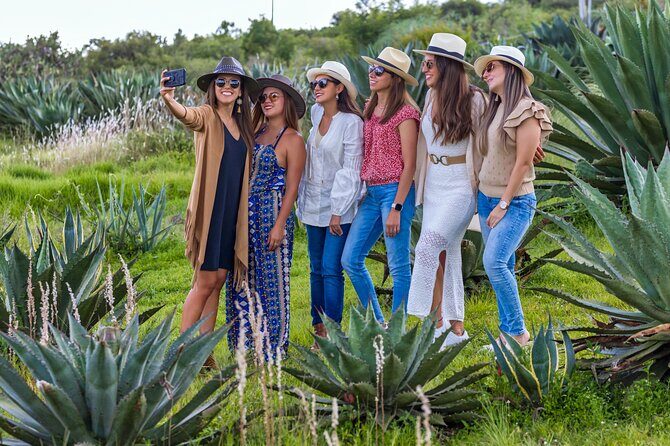 Private Mezcal Tasting Journey by Car in Oaxaca - An Honest Look at the Private Mezcal Tasting Journey in Oaxaca