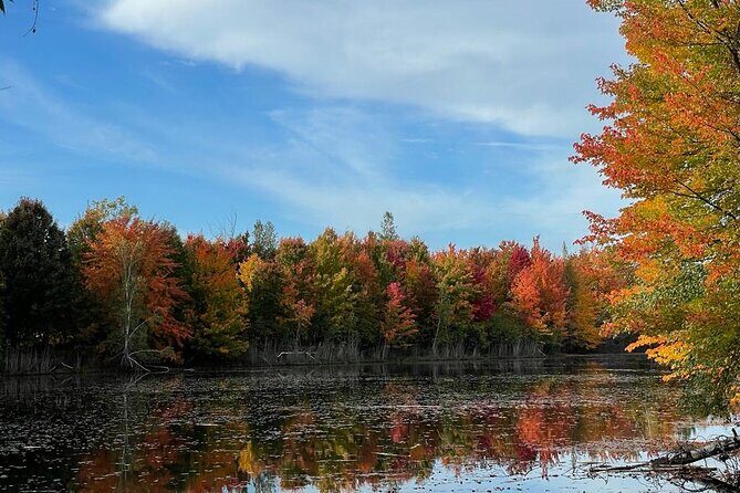 Private Montreal Car Tour with History and Hidden Gems - What’s Included and What’s Not