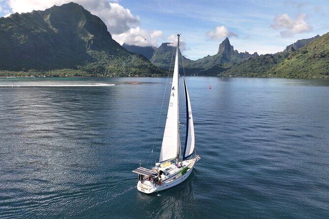 Private Moorea Discovery Half-day Sailing - The Value of This Tour