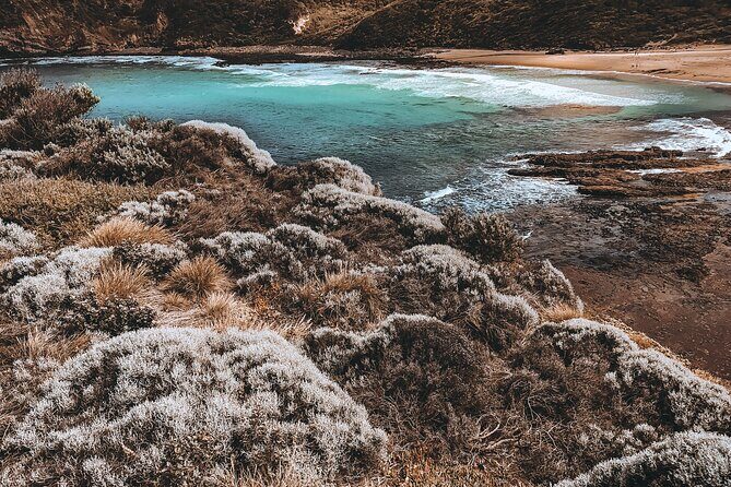 Private Mornington Peninsula Hike and Hot Springs Tour - Introduction: What’s the Buzz About the Private Mornington Peninsula Hike and Hot Springs Tour?