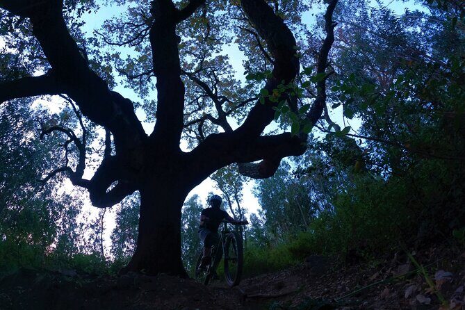 Private mountain bike tour in Lisbon/Sintra/Cascais - What to Expect from the Tour