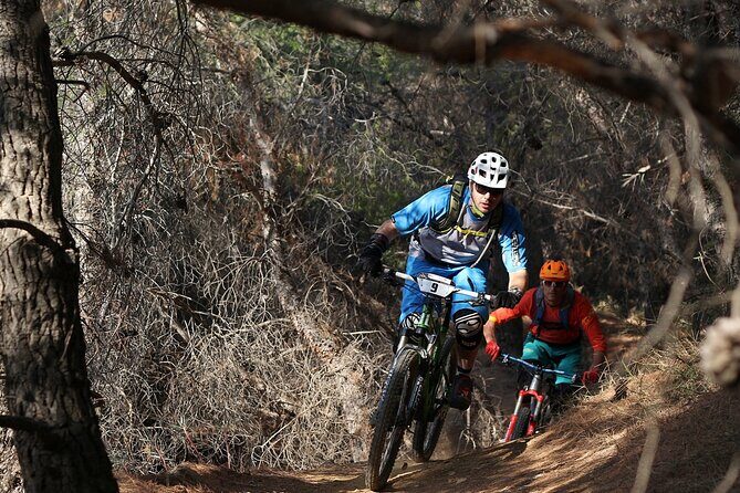 Private Mountain Bike,Trail Ride Tour of Mount Ymittos, Athens. - Duration and Value