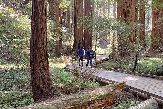 Private Muir Woods Tour Via Luxury Tesla - Whats Included and Whats Not