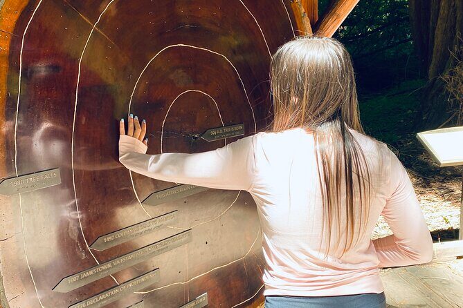 Private Muir Woods Tour Via Luxury Tesla - Who Should Consider This Tour?