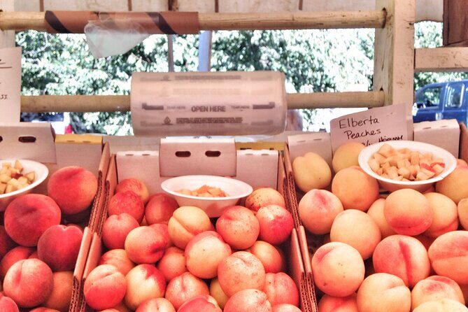 Private Multnomah Falls, Train Ride, & Wine Tour - Exploring the Itinerary in Detail