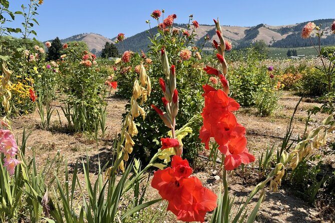 Private Multnomah Falls, Train Ride, & Wine Tour - Final Thoughts