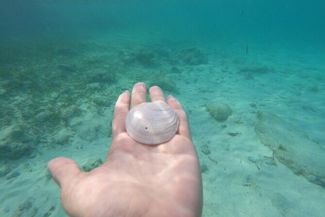 Private MUSA Snorkeling Experience at Isla Mujeres and Cancun - Frequently Asked Questions