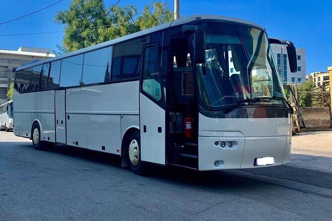 Private Mykonos Shore Excursion for Cruise Travelers - Who Should Consider This Tour?