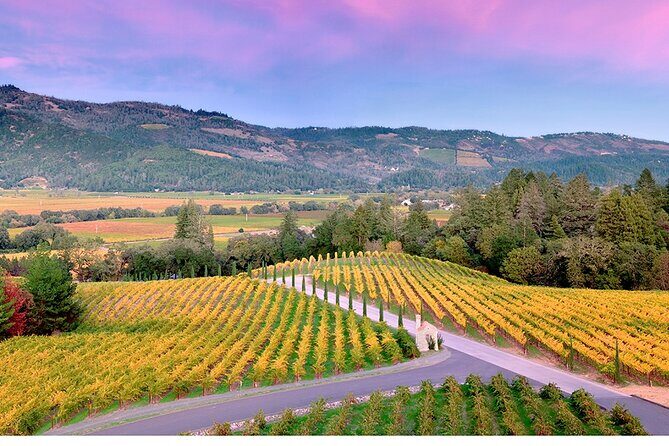 Private Napa Wine Tour Up To 6 Guests - Introducing the Private Napa Wine Tour Up To 6 Guests