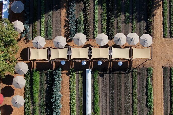 Private Napa Wine Tour Up To 6 Guests - Practical Tips for Your Napa Private Tour