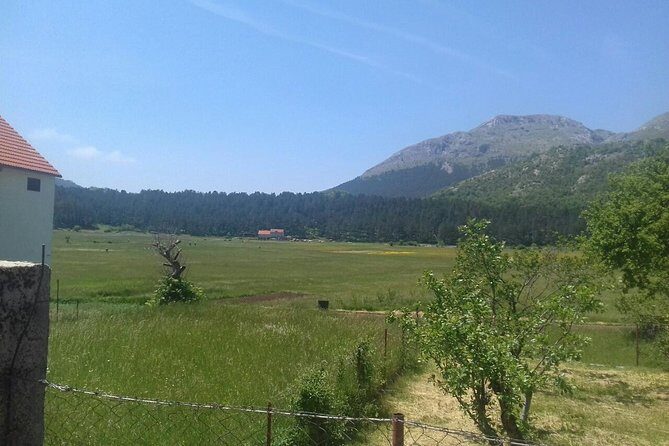 Private National Park Lovcen with food and wine tasting - FAQ