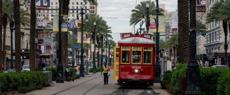 Private New Orleans Panoramic: With Drink and Souvenir - Discovering the Heart of New Orleans