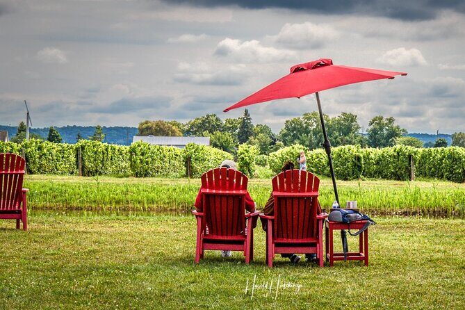 Private Niagara Falls Wine Tasting Adventure - Key Points