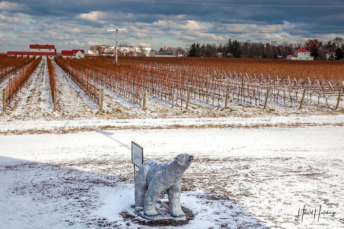 Private Niagara Ice Wine Tour - A Thorough Breakdown of the Itinerary