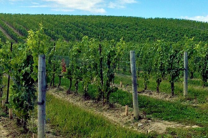 Private Niagara Wine Tour with Cheese and Charcuterie - Why You Should Consider This Tour