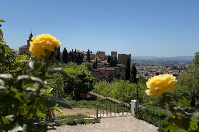 Private Night/Day Alhambra with Nasrid Palaces - Key Points