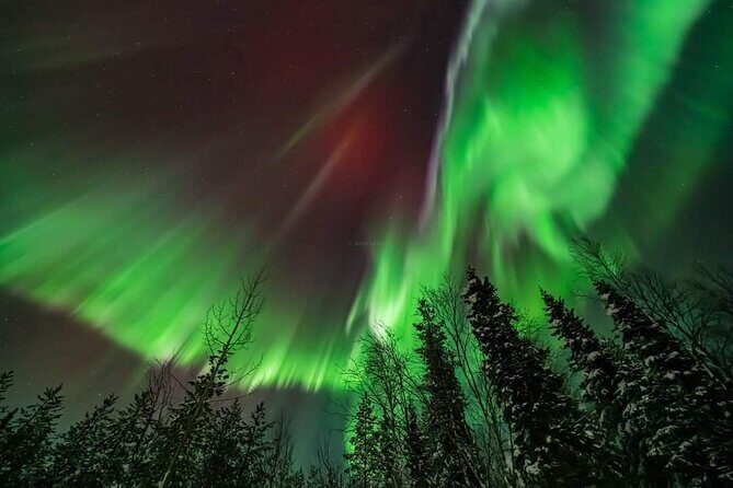 Private Northern Lights Hunting Tour Rovaniemi - The Sum Up