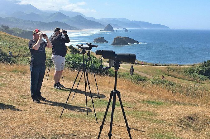 Private Northern Oregon Coast Tour - What Reviewers Say (From Available Feedback)