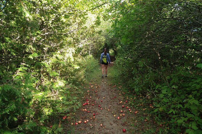 Private Nottawasaga Bluffs Caves Hiking Tour,Collingwood/Creemore - What to Expect from the Tour