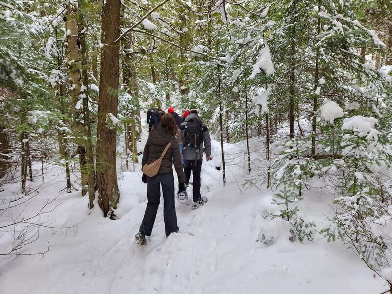 Private Nottawasaga Bluffs Caves Snowshoe-Creemore/Collingwd - Comparing Nottawasaga Bluffs to Singhampton Caves