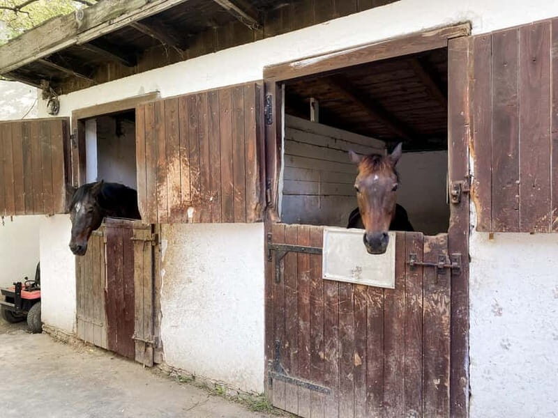 Private Novi Sad, Sremski Karlovci & Farmer's House - Final Thoughts