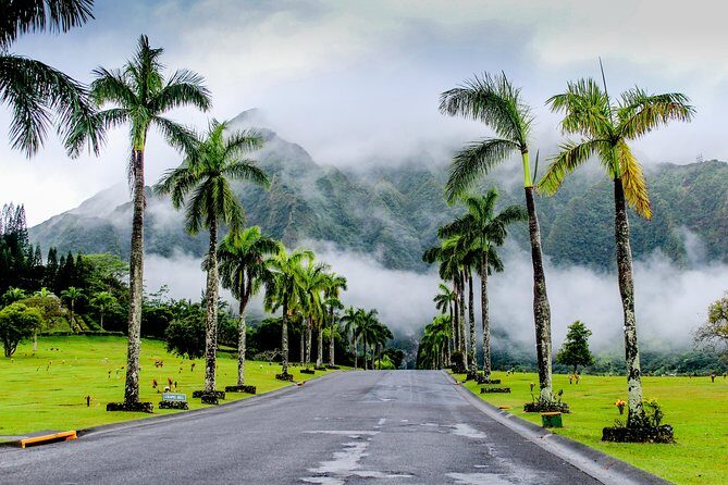 Private Oahu Circle Island Tour - The Experience: Why It Works