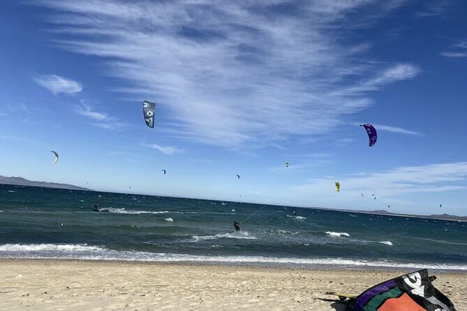 Private Ocean Safari in La Ventana: Marine Wildlife Experience - A Closer Look at the Itinerary