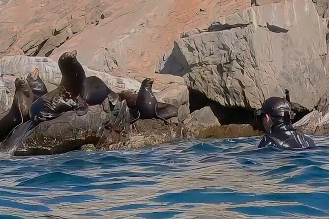 Private Ocean Safari in La Ventana: Marine Wildlife Experience - What Reviewers Say (Insights from Actual Feedback)