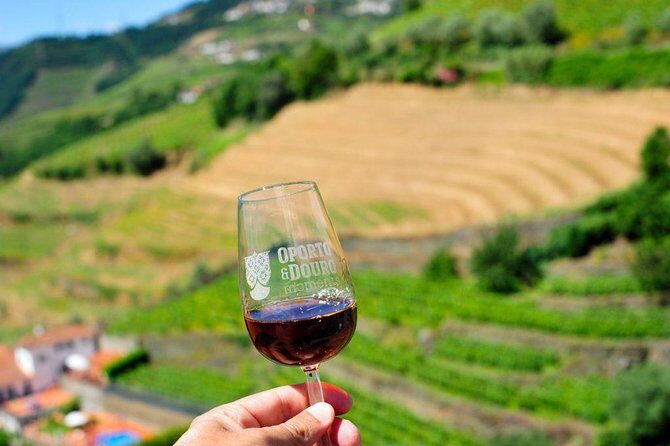 Private off the beaten Douro Valley Wine Tour - Final Thoughts